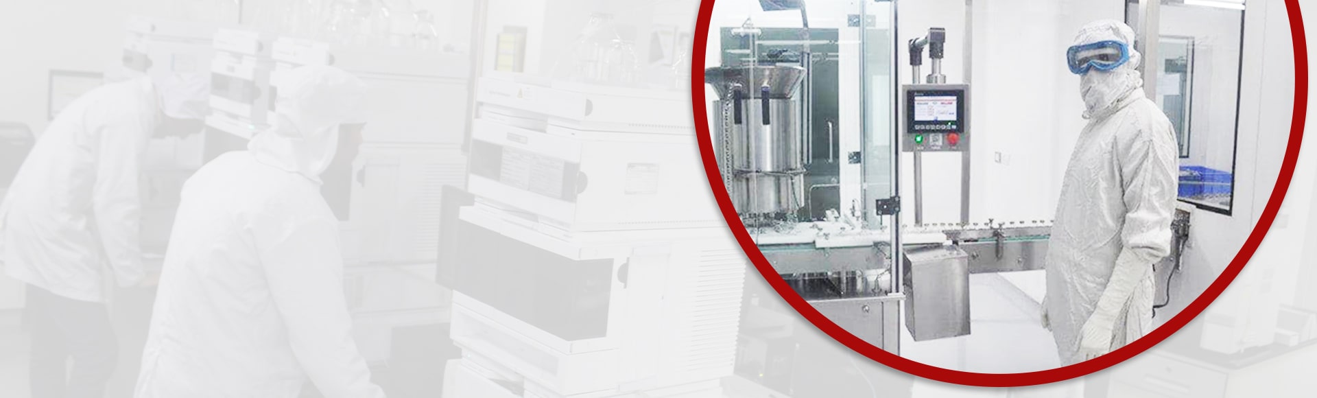 Zuventus Healthcare Limited